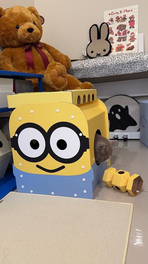 【現貨免運】韓國🇰🇷ZOODI-Cat 小小兵遊戲貓窩 – Mumuhi 韓國寵物選品