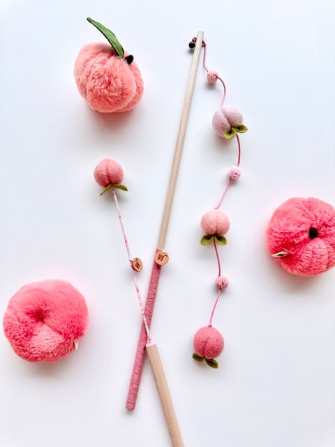 【現貨】韓國🇰🇷WETNOSE 夏日水蜜桃系列-peach rod逗貓棒 – Mumuhi 韓國寵物選品