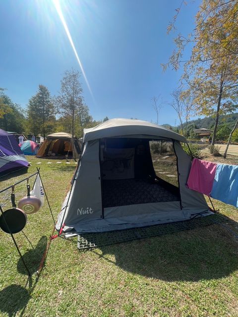 「二手」Nuit 御松屋 NTG98GY – Upino上隱號