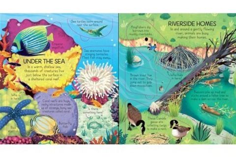 Usborne Look Inside Collection (6 books) - ANIMAL HOMES ETC – Abbie ...
