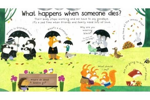 Usborne Lift-the-Flap First Q&A Why Do Things Die? – Abbie & Friends (Luxe)