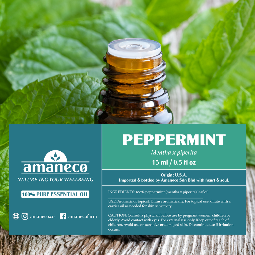 Peppermint Essential Oil Benefits