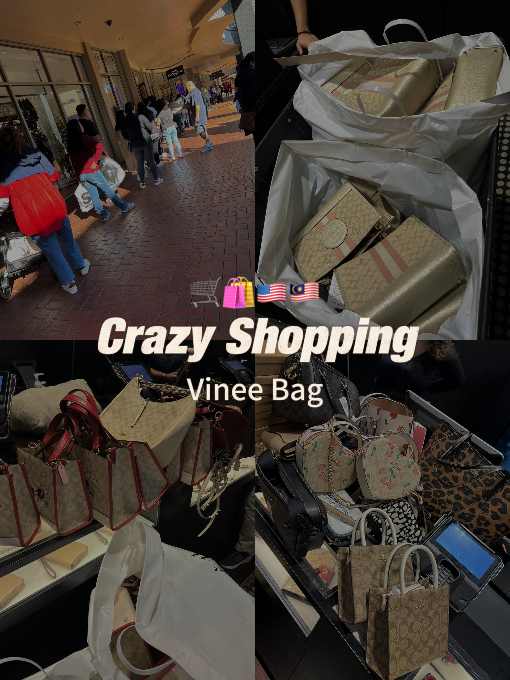 Vinee Bag