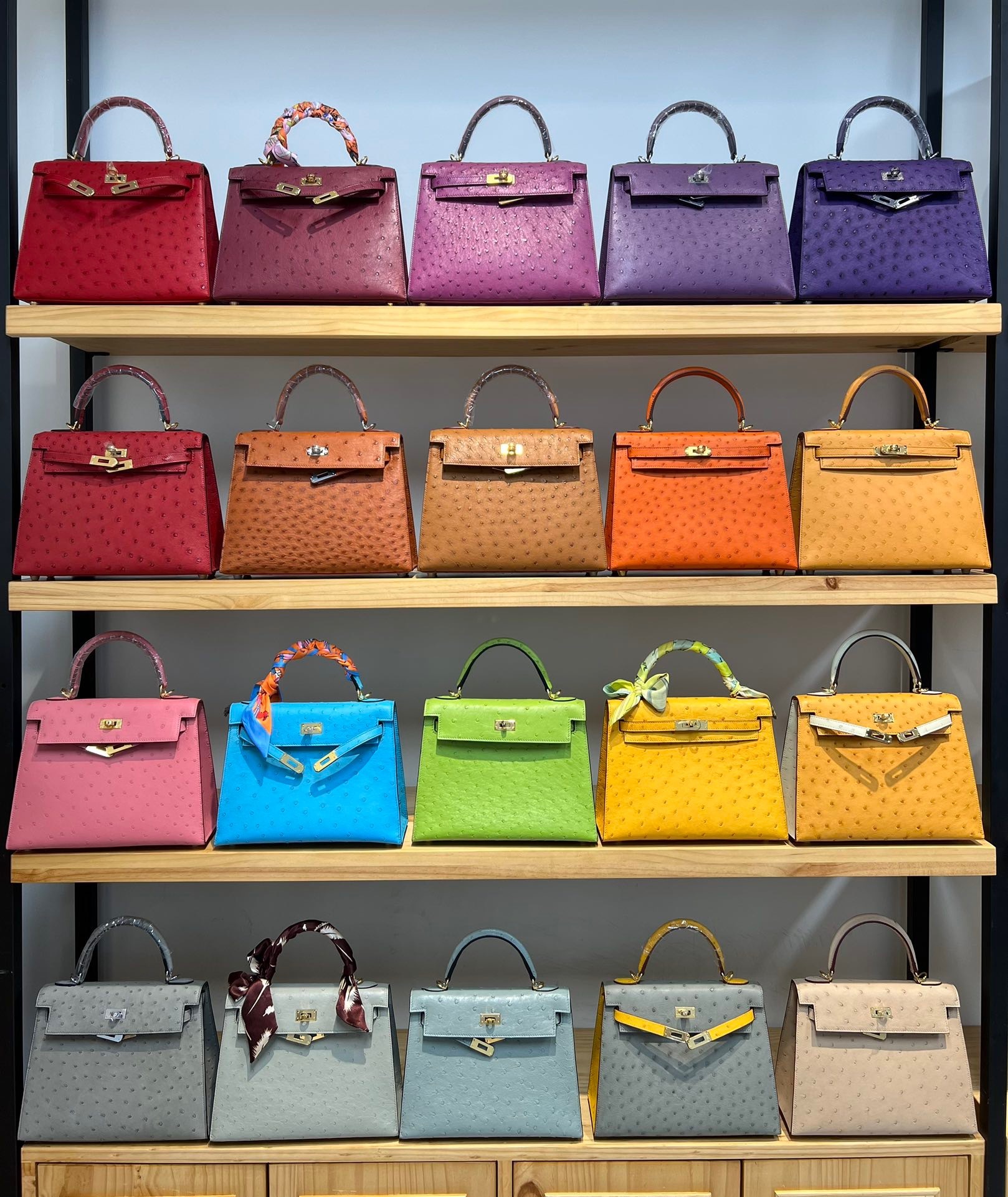 Hermes Kelly 25 (Ostrich) – Theluxystudio