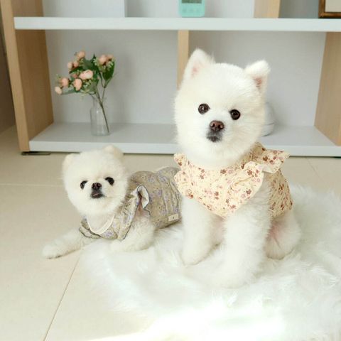 韓國🇰🇷 HONEYDOG 허니독 | 雙色優雅碎花小背心S-2XL – Arush | 韓國寵物選品店