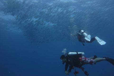 Layang Layang Island Sabah Dive trip 3 - 8 march 2019 6D5N 12 X Dive ...