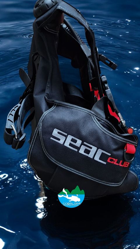 SEAC Club BCD jacket scuba diving bcd – CORAL DIVE STORE