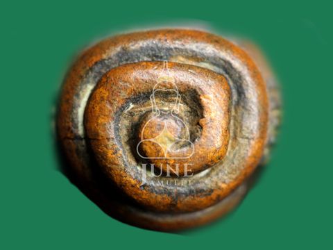 Phra Pidta Maha-Ut, Ner Thong Daeng, Luang Phu Sie, Wat Champa Nongbua, Surin 2514 – June Amulet ...