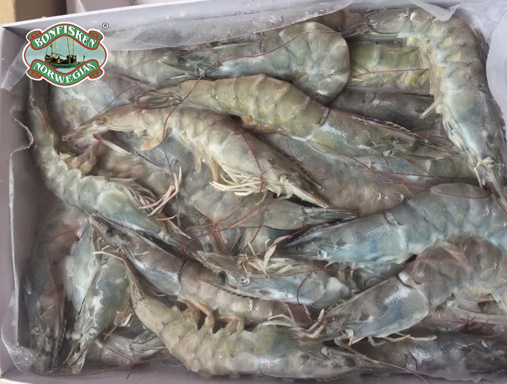 L Size Vannamei Hoso Prawn 31 40 Premium 1kg Bonfisken Seafood Market