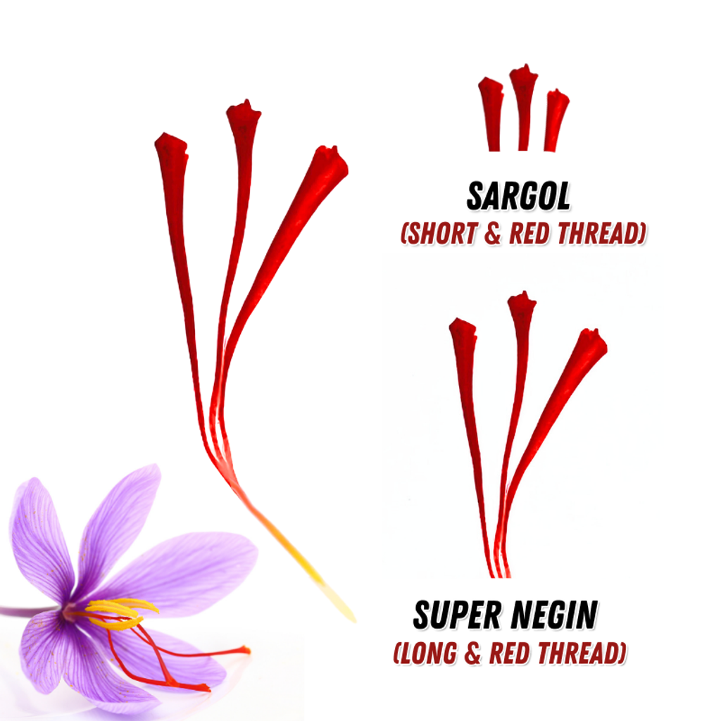 SARGOL SAFFRON 2 GRAMS – Saffron Silk Road