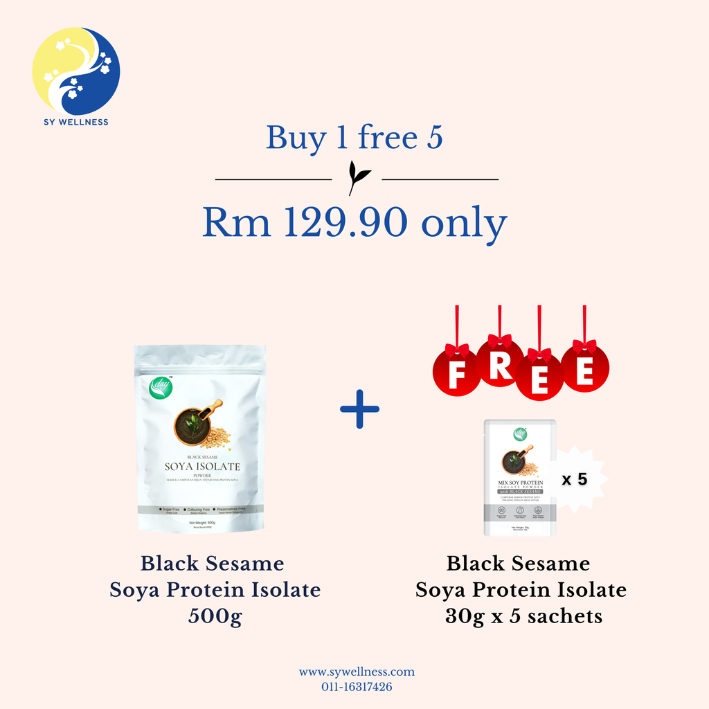 DSY Black Sesame Soya Isolate Protein Powder| DSY黑芝麻大豆蛋白粉 – SyWelltech