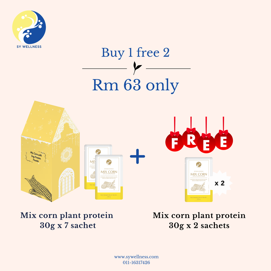 DSY Sweet Corn Plant Protein Powder 650g – SyWelltech