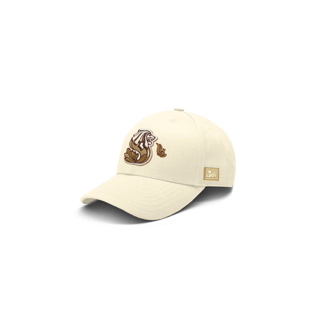 Feature on homepage – The Cap City