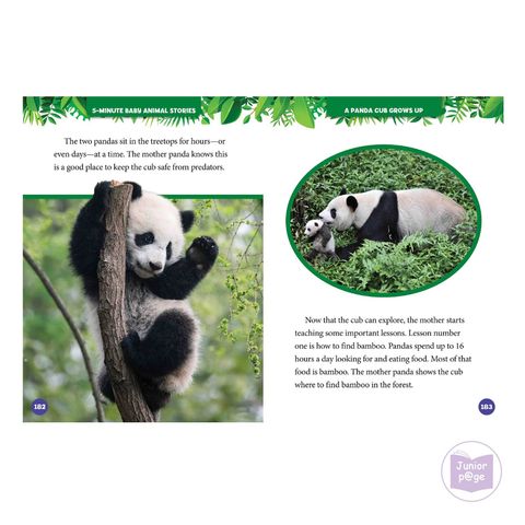 National Geographic Kids 5-Minute Baby Animal Stories – Junior Page