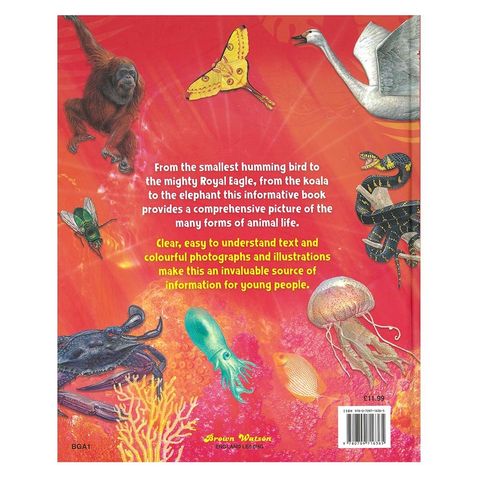 My Big Book Of Animals – Junior Page