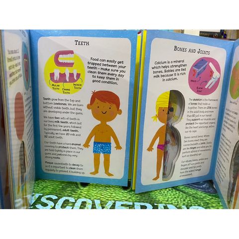 The Incredible Human Body – Junior Page