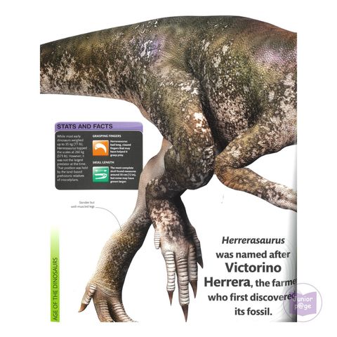 DK Super Dinosaur – Junior Page