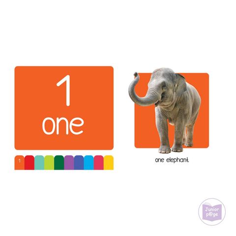 123 Numbers-An Early Learning Photo Book – Junior Page