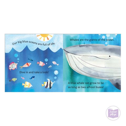 Hello World Ocean Life – Junior Page