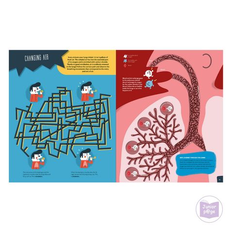 Interactive Mazes for Exploring The Human Body – Junior Page