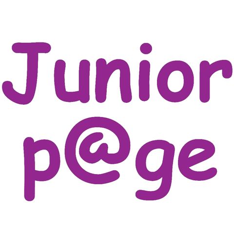 Conquer Chinese Composition Guide for Lower Primary – Junior Page