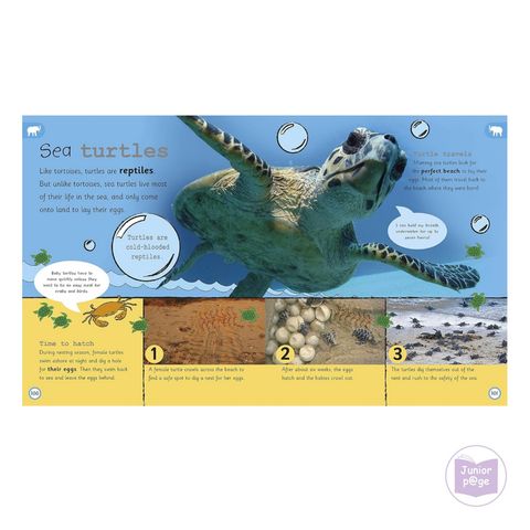 DK My Encyclopedia of Very Important Animals – Junior Page