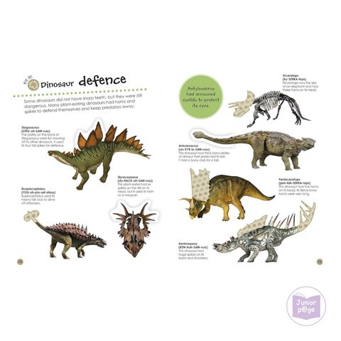 DK Ultimate Sticker Book: Dinosaurs: More Than 250 Reusable Stickers ...