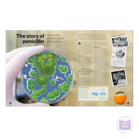 DK Smithsonian Timelines Science: From Fossils to Quantum Physics (HB with red dot) – Junior Page