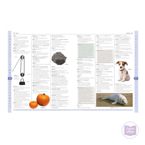 DK Merriam-Webster Children's Dictionary (HB with red dot) – Junior Page