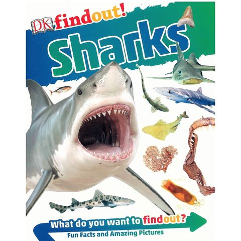 DK Findout! Sharks – Junior Page