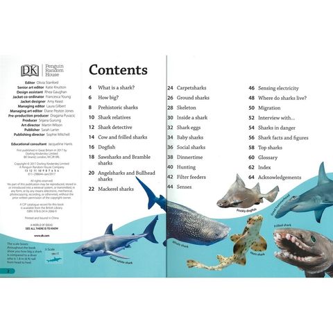 DK Findout! Sharks – Junior Page