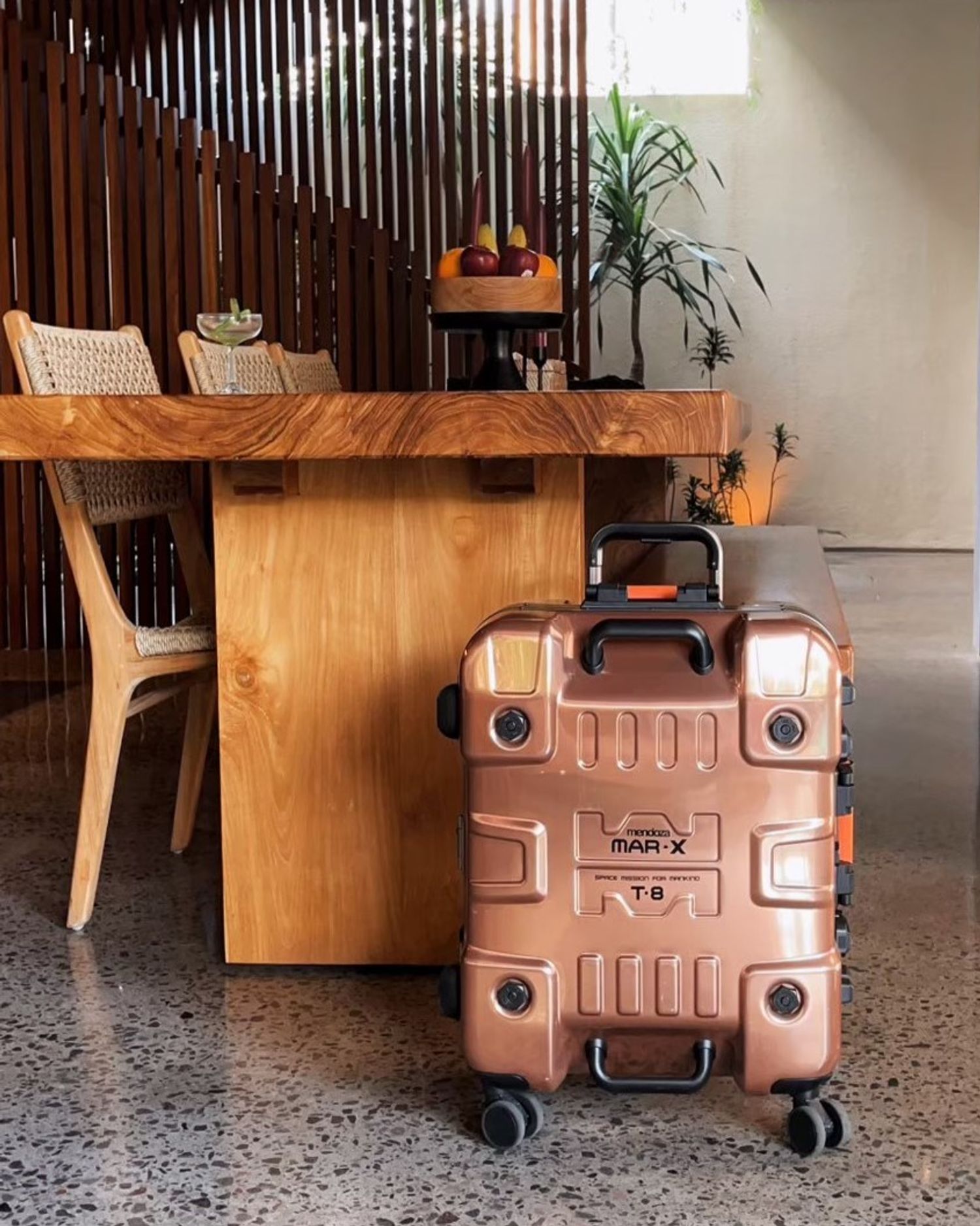 mendoza bags & luggage