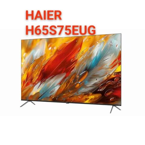 HAIER# H65S75EUG / 65" ANDROID TV (LOAN) – Tk Ocean Electrical