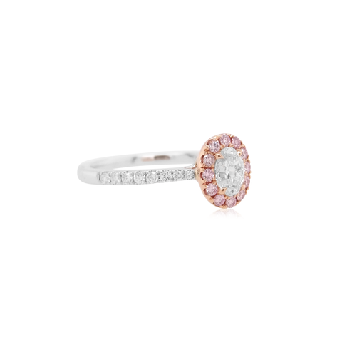 Rosé Aura – Oval Pink Halo Ring – Suri