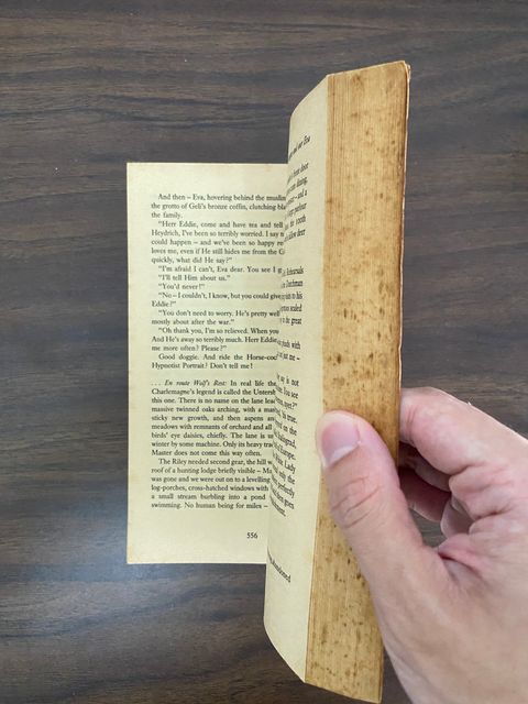 [Used Book] The Ring Master - David Gurr [Condition: C] – Loteng Bookstore