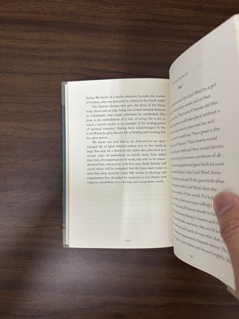 [Used Book] The Lost Sutras of Jesus - Thomas Moore & Ray Riegert ...