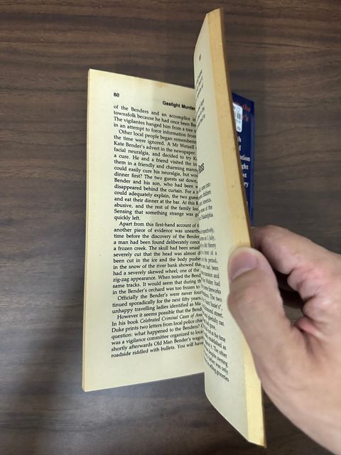 [Used Book] World Famous Gaslight Murder - Colin & Damon Wilson ...