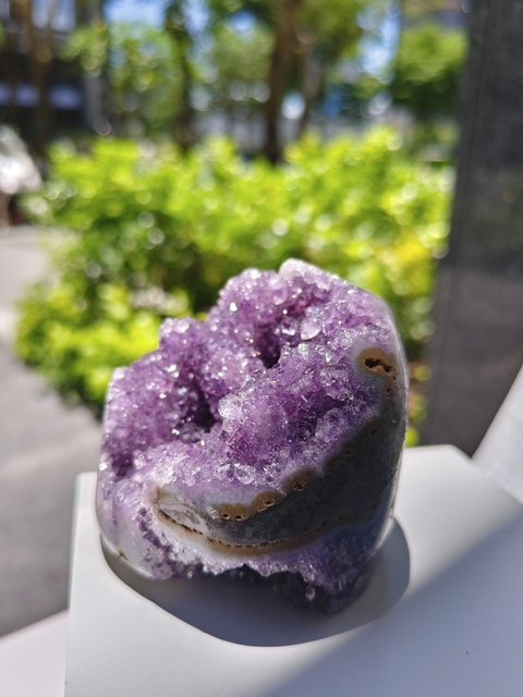 【紫水晶鎮】淘金盆之型 Crater Fortunae – Momo Starry 暮之晶