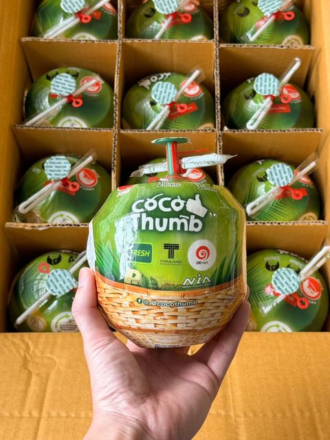 🥥泰國 Coco Thumb 易開椰子水（附吸管） – 小羊水果ya.fruit