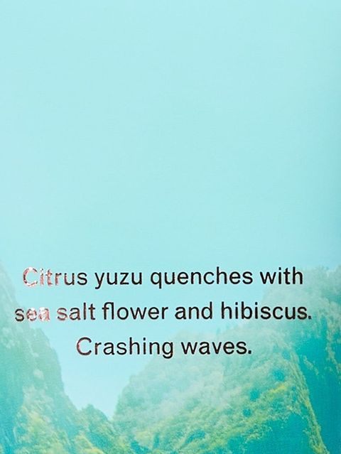 Victoria's Secret Chasing Paradise Fragrance Lotion - Seaside Surf ...