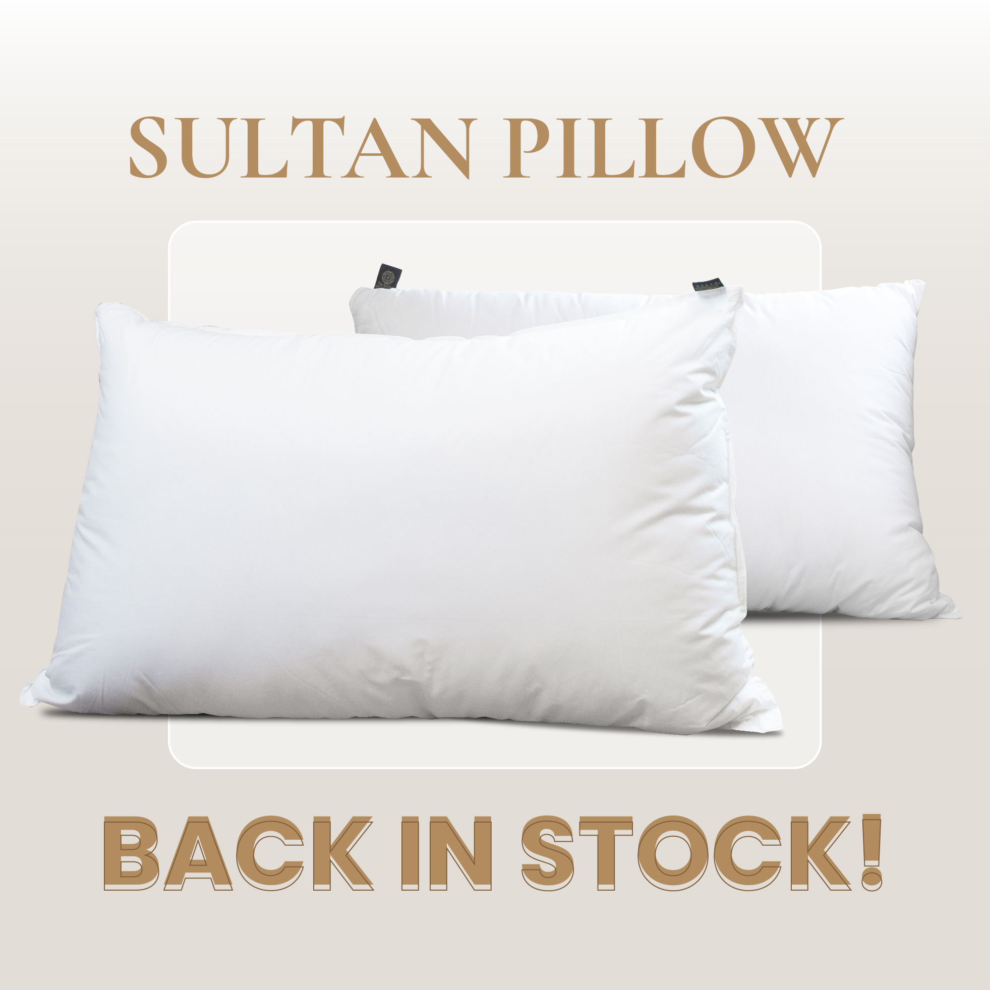 Sultan Exclusive Pillow – Sultera