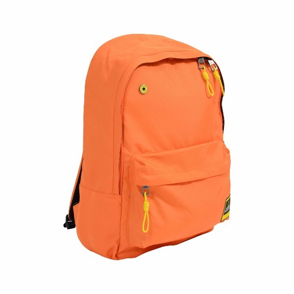 National Geographic Campus Backpack – GoTravelOutdoor | Luggage ...