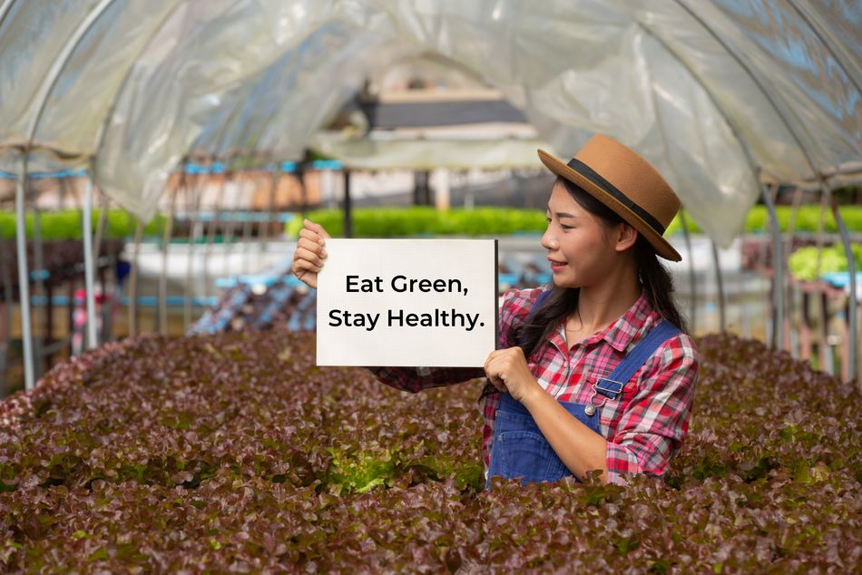 Toclan Asia | Malaysia Urban Farming & Hydroponics Specialist