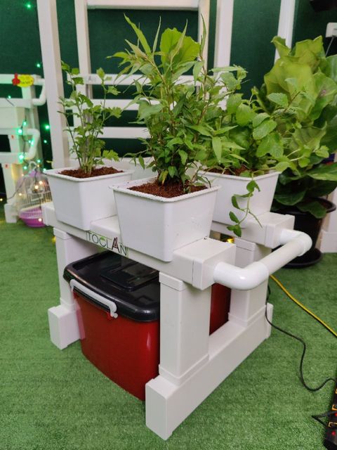Toclan Herbs Set (TH4) – Toclan Asia | Malaysia Urban Farming ...