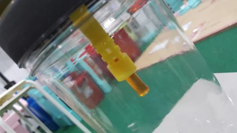 Toclan Insect Trapper Liquid Hormon – Toclan Asia | Malaysia Urban ...