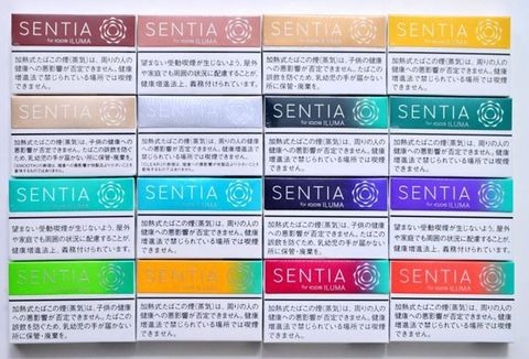 SENTIA series (17) – JTeXpress