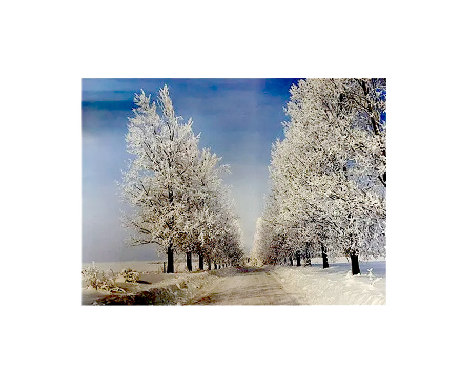 GELAREH Poster - Attractiveness of Winter -Size:+/-47X68cm – Gelareh Store