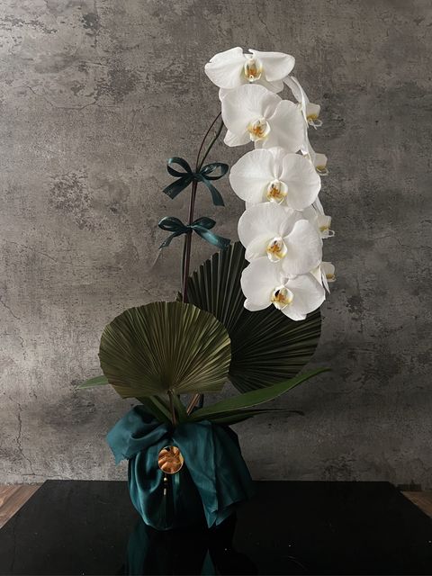 Raya Orchid (Fresh) – LASORIGINE | Florist Jakarta