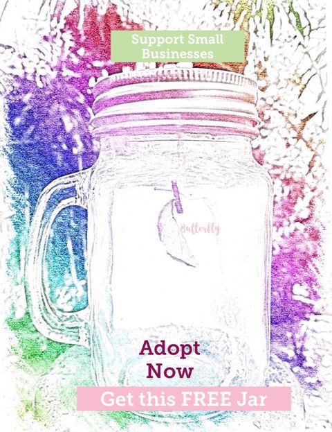 Kepompong Rama-rama/ Butterfly Pupa BEGINNER SET – ButterflyReptile