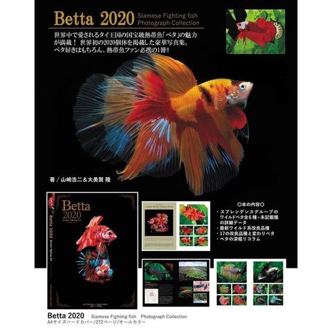 《預購-日文書》 Betta 2020 展鬥2020 ~展鬥豪華寫真集~ – SBP展鬥期刊 Show Betta Periodical -TAIWAN 鬥魚專賣店
